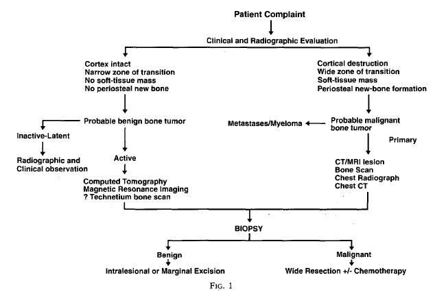Soft Tissue Sarcoma - Pathology - Orthobullets