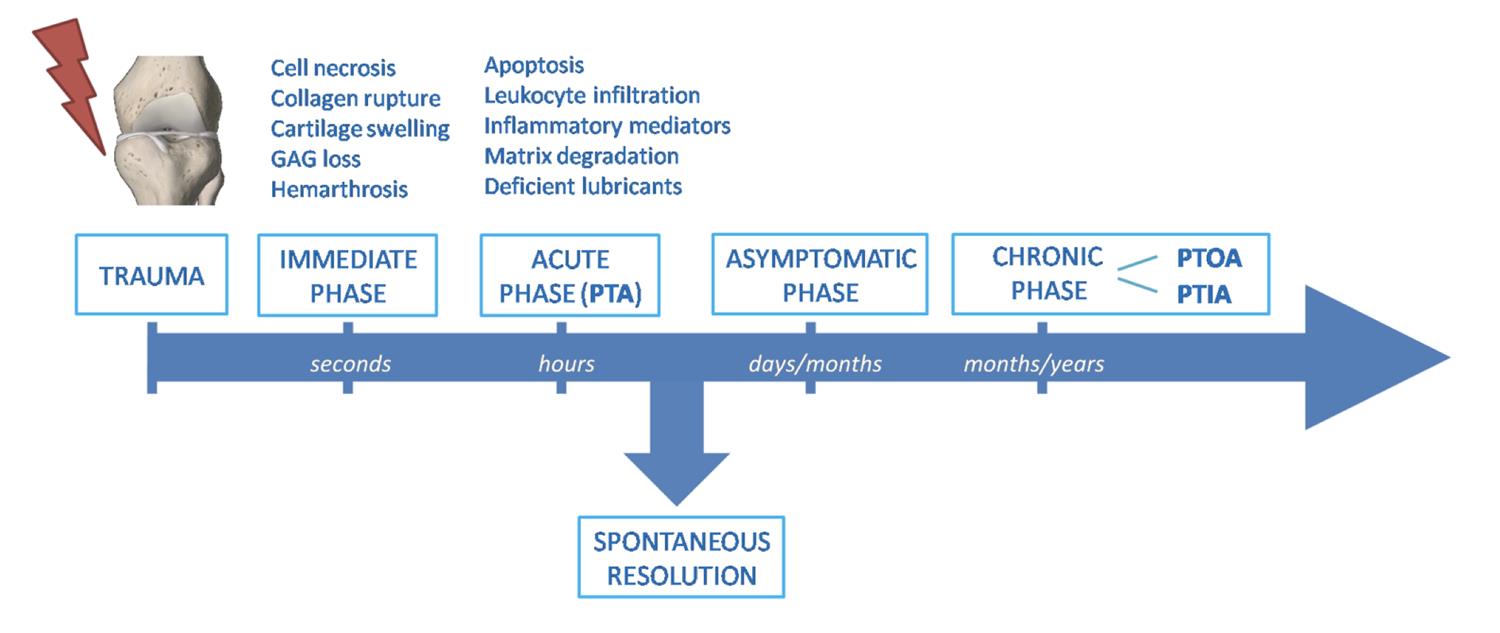 Question 211123 - Qbank - Orthobullets