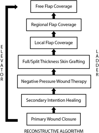 Question 211141 - Qbank - Orthobullets