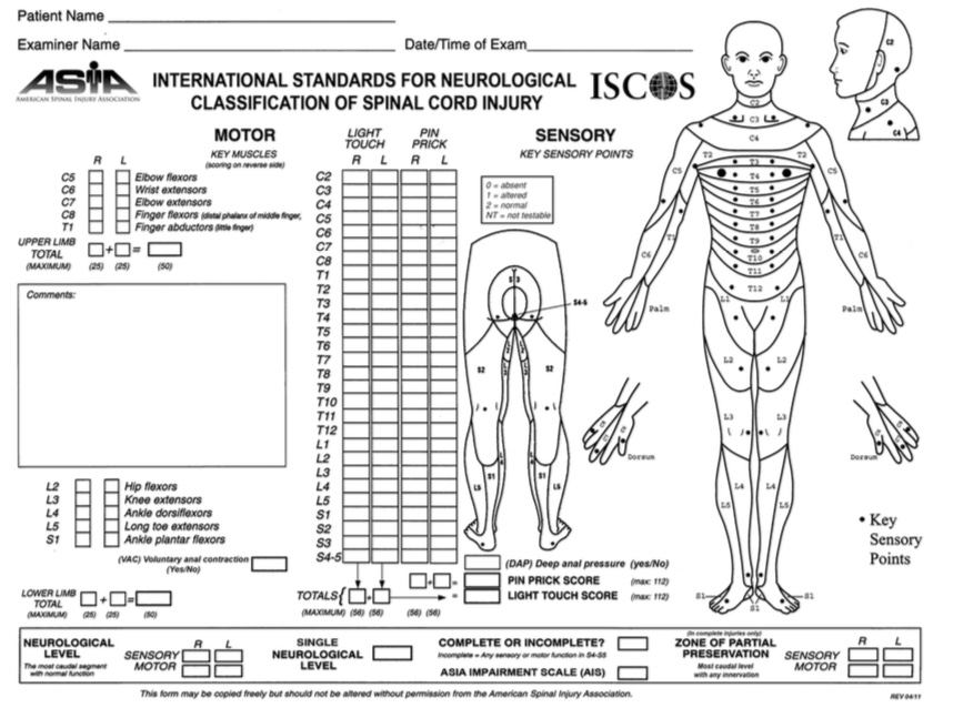 Question 211443 - Qbank - Orthobullets