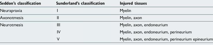Question 213114 - Qbank - Orthobullets