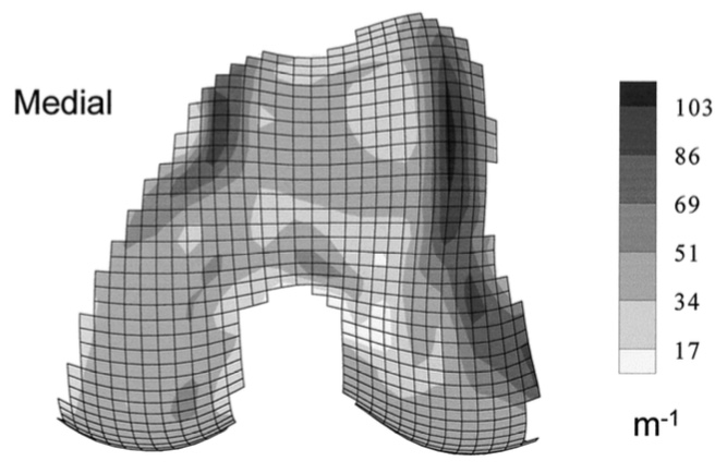 Question 216272 - Qbank - Orthobullets