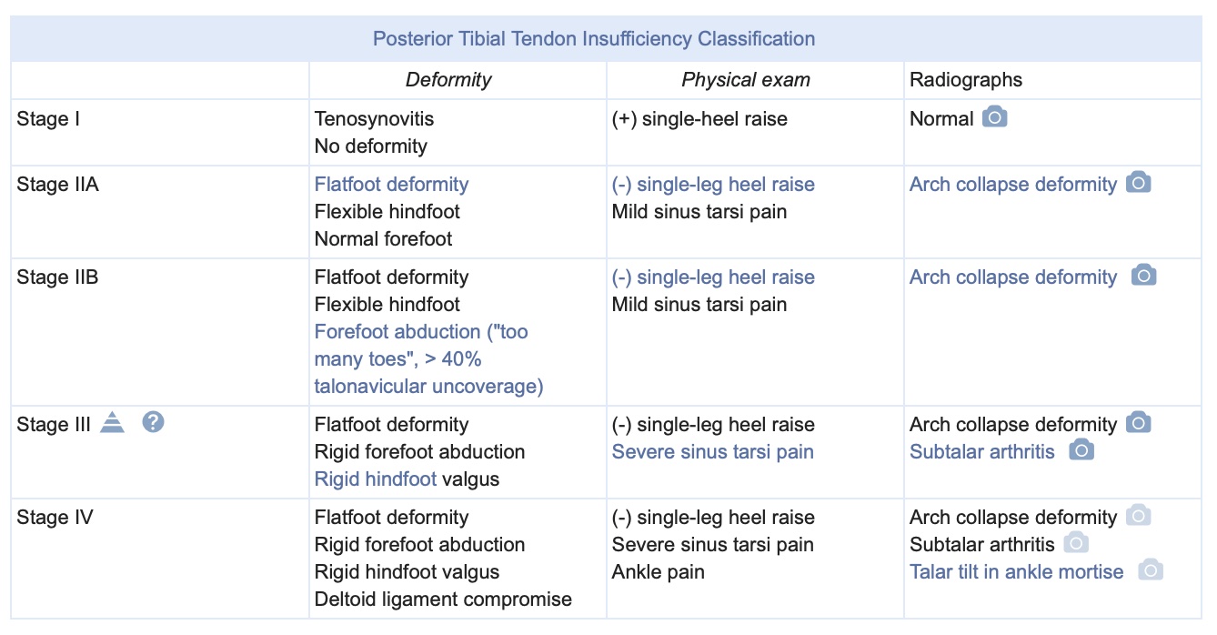 Question 218567 - Qbank - Orthobullets
