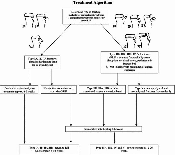 Question 219003 - Qbank - Orthobullets