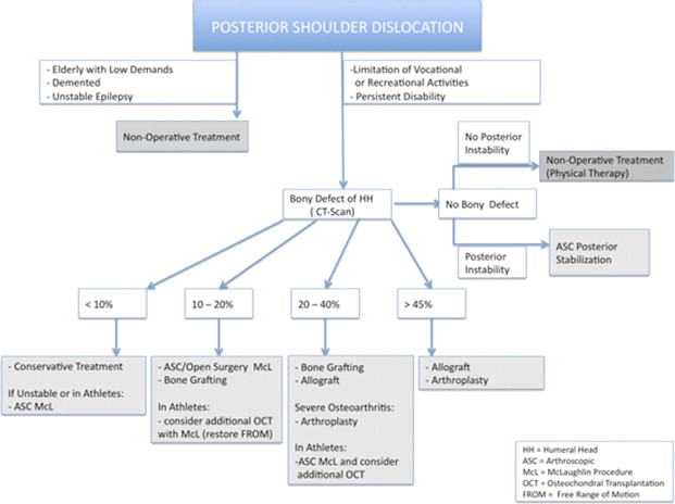 Posterior Shoulder Instability & Dislocation - Shoulder & Elbow ...