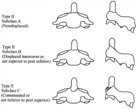 Question 3389 - Qbank - Orthobullets