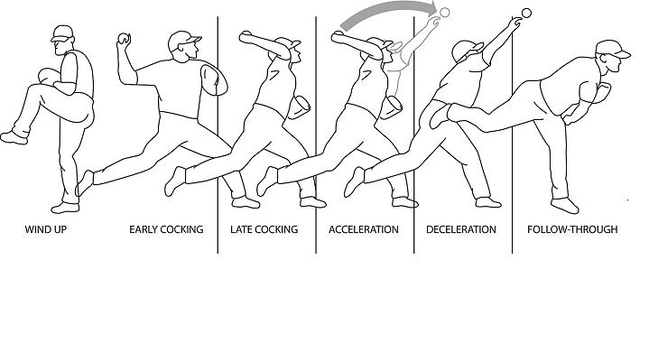 Question 3517 - Qbank - Orthobullets