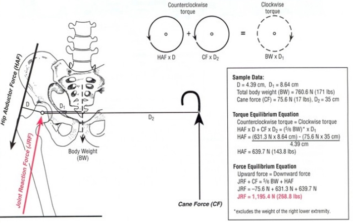 Question 3644 - Qbank - Orthobullets
