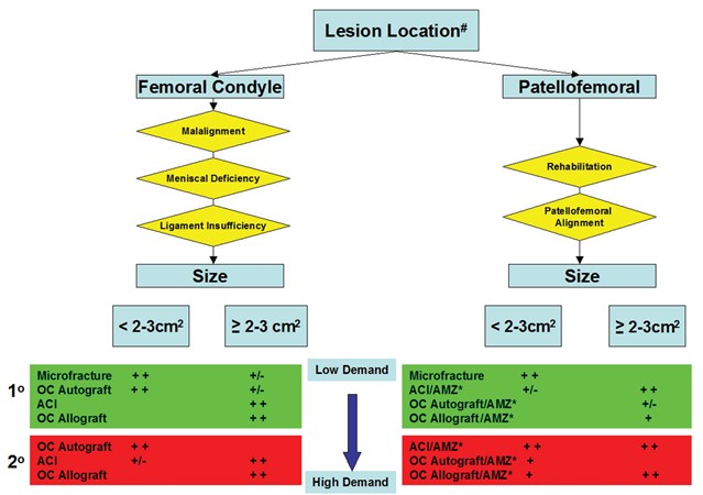 Question 480 - Qbank - Orthobullets