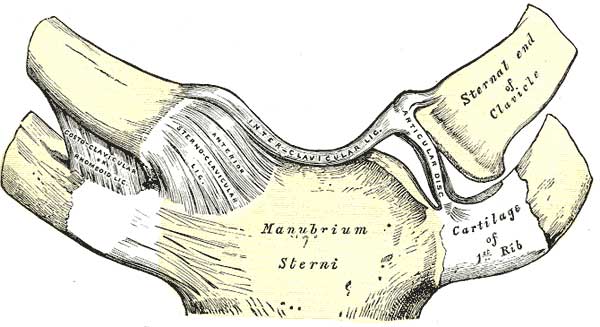 Sternoclavicular Dislocation - Trauma - Orthobullets