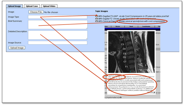 Team Tutorial - General - Orthobullets