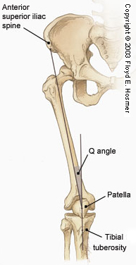 History and Physical Exam of the Knee - Knee & Sports - Orthobullets